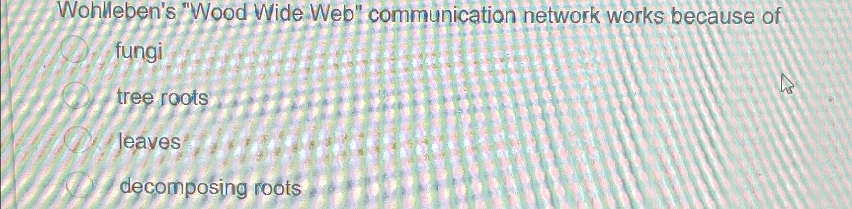 Solved Wohlleben's "Wood Wide Web" communication network | Chegg.com