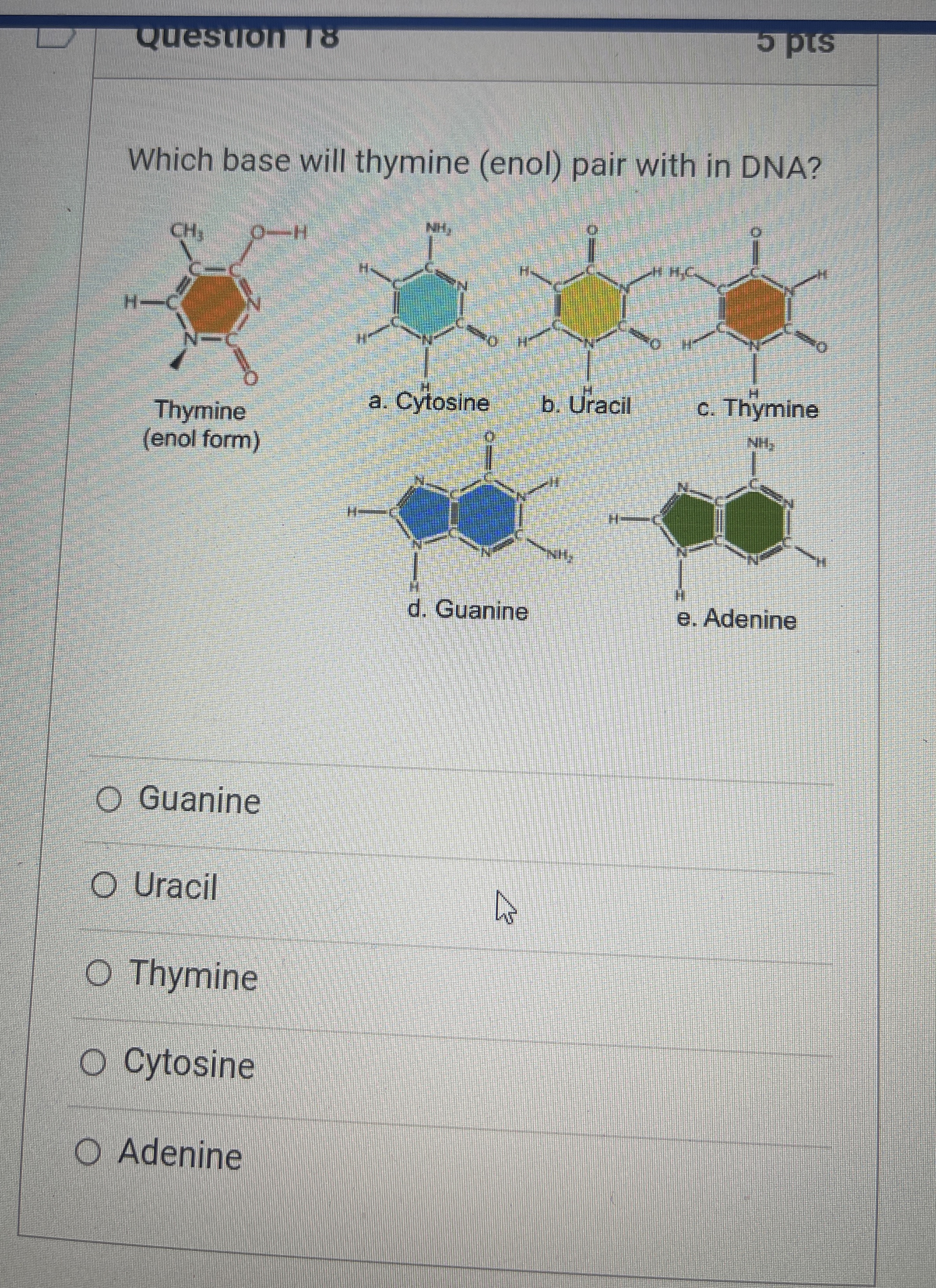 Solved Whcih base will thymine enol pair with in dna | Chegg.com