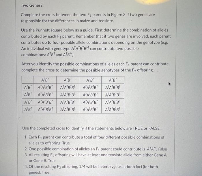Solved Got half of these wrong for the True or False. not | Chegg.com