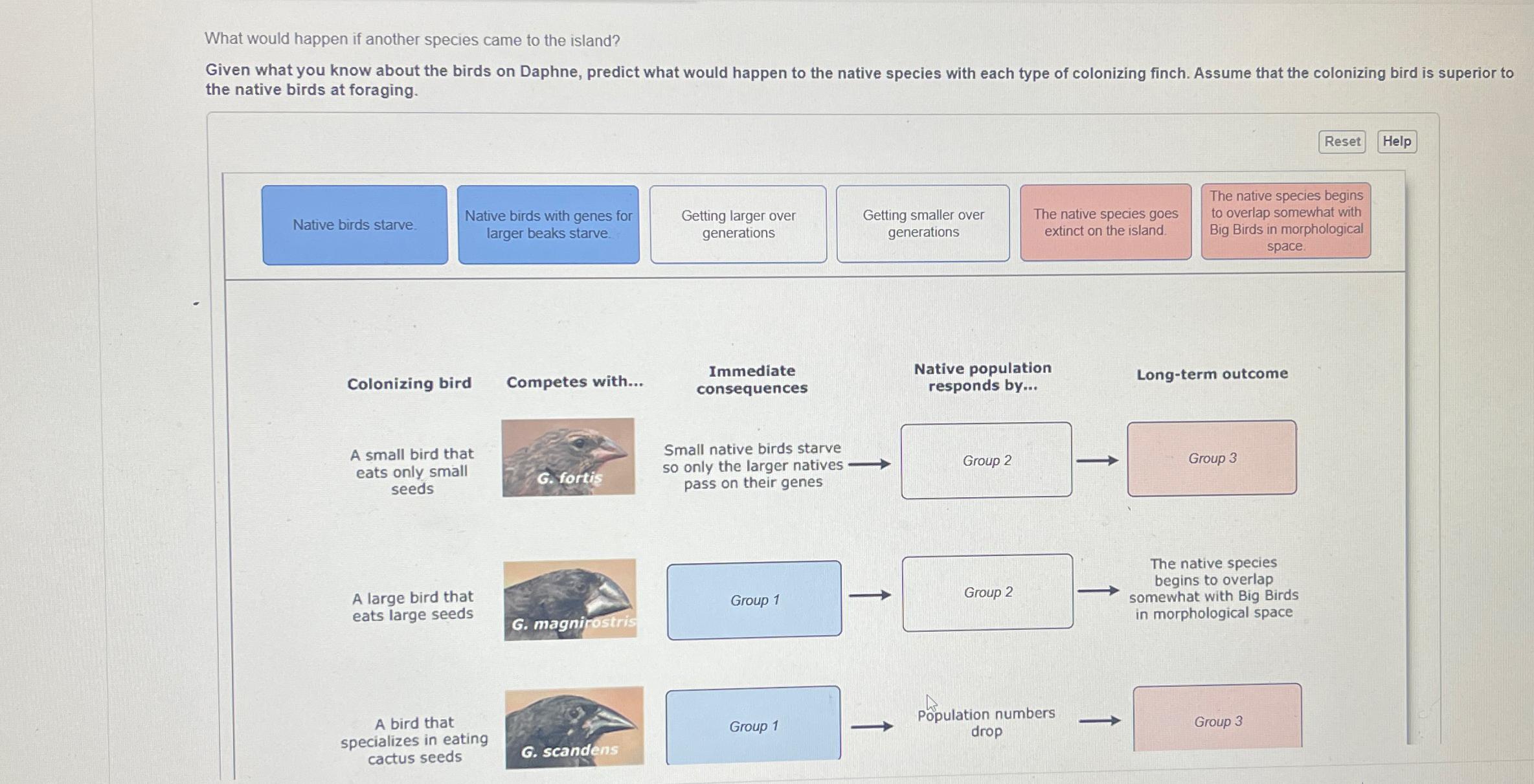 Solved What would happen if another species came to the | Chegg.com