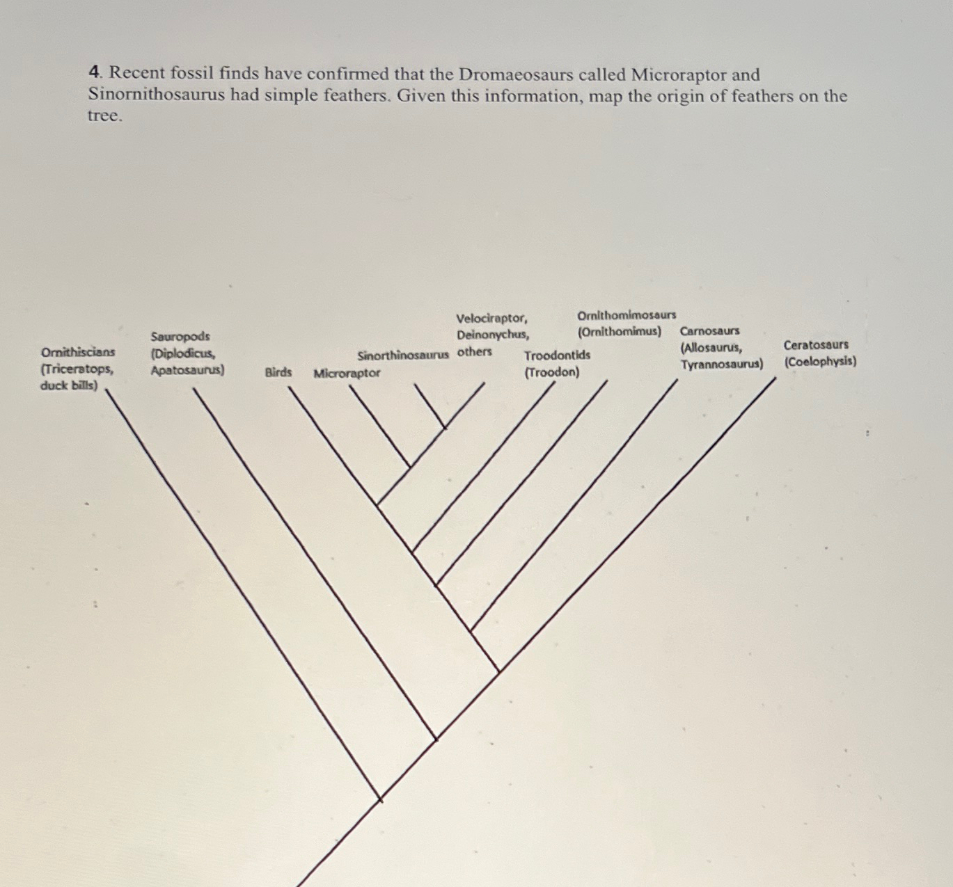 Solved Recent fossil finds have confirmed that the | Chegg.com