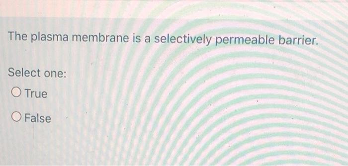 Solved The plasma membrane is a selectively permeable | Chegg.com