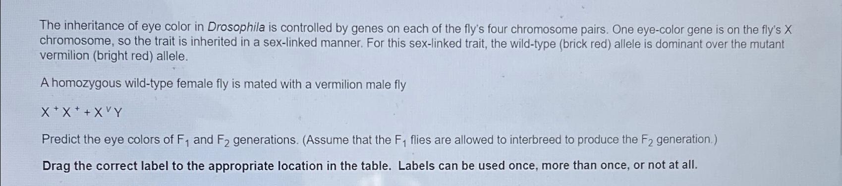 Solved The inheritance of eye color in Drosophila is | Chegg.com