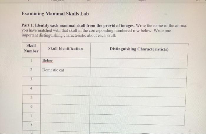 Solved Examining Mammal Skulls Lab Part 1 Identify Each Chegg