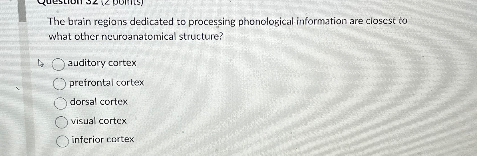 Solved The brain regions dedicated to processing | Chegg.com