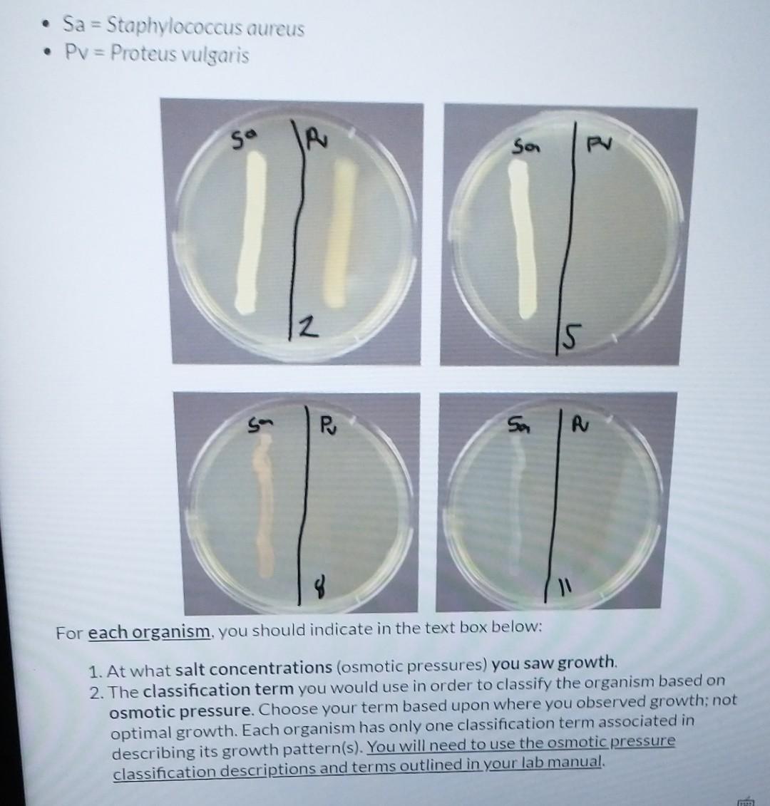 Solved • Sa = Staphylococcus aureus • PV = Proteus vulgaris | Chegg.com