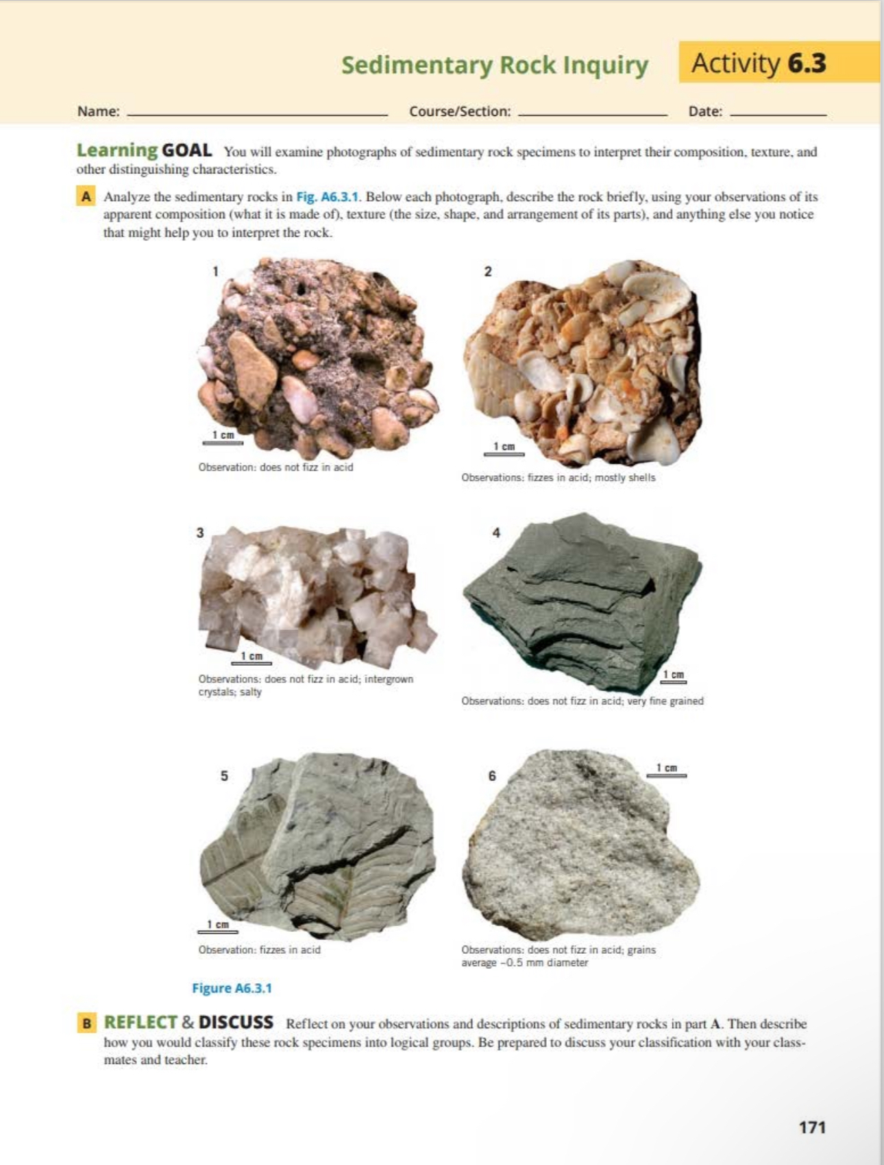 Solved Sedimentary Rock InquiryActivity | Chegg.com