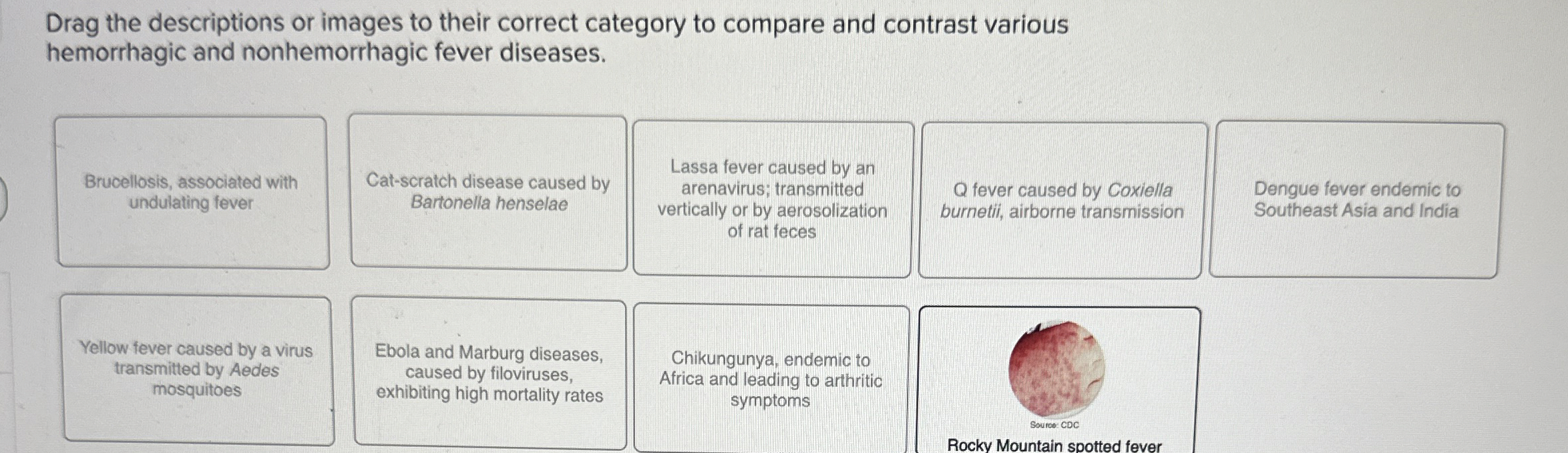 Solved Drag the descriptions or images to their correct | Chegg.com