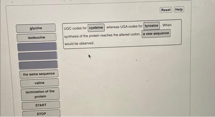 Solved Complete the sentences to define the genetic code. | Chegg.com
