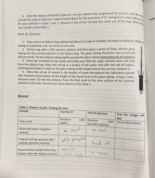 Solved PROCEDURE PARTA. DIALYSIS Put on gloves. Take a piece | Chegg.com