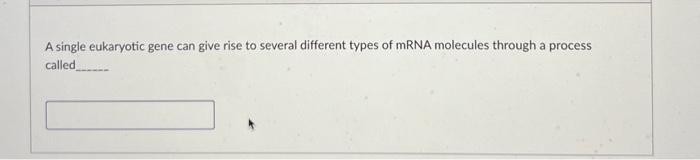 Solved A single eukaryotic gene can give rise to several | Chegg.com