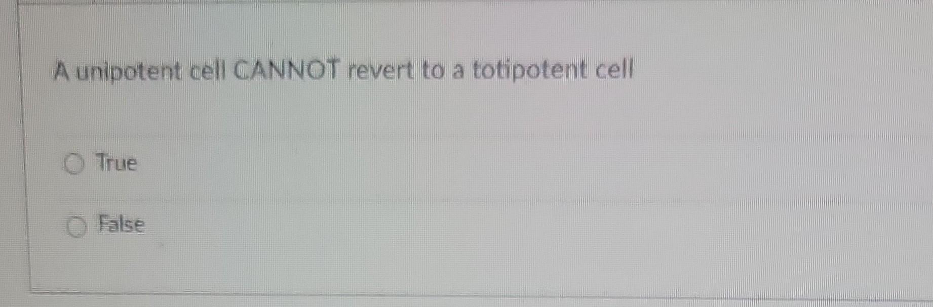 Solved The leading and lagging strands work at the same | Chegg.com