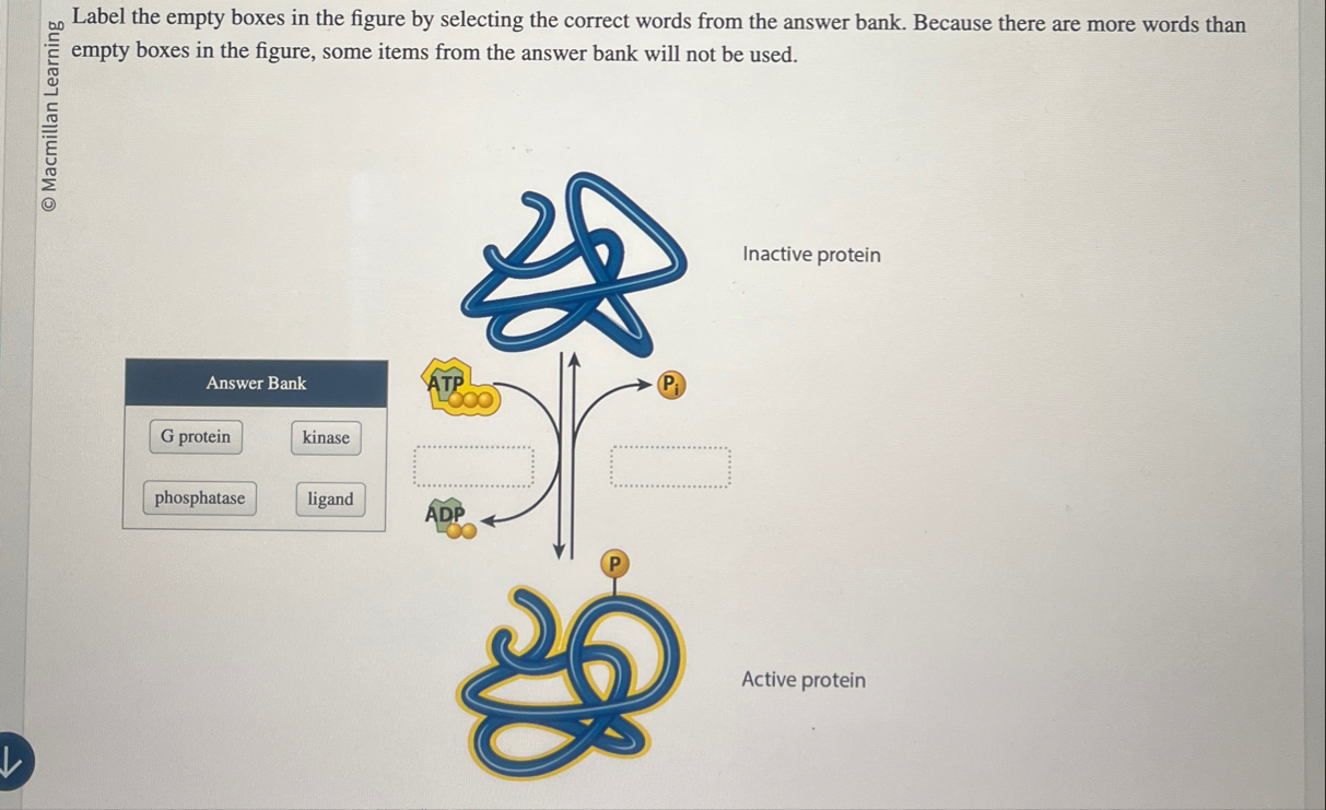 Macmillan LearningLabel the empty boxes in the | Chegg.com