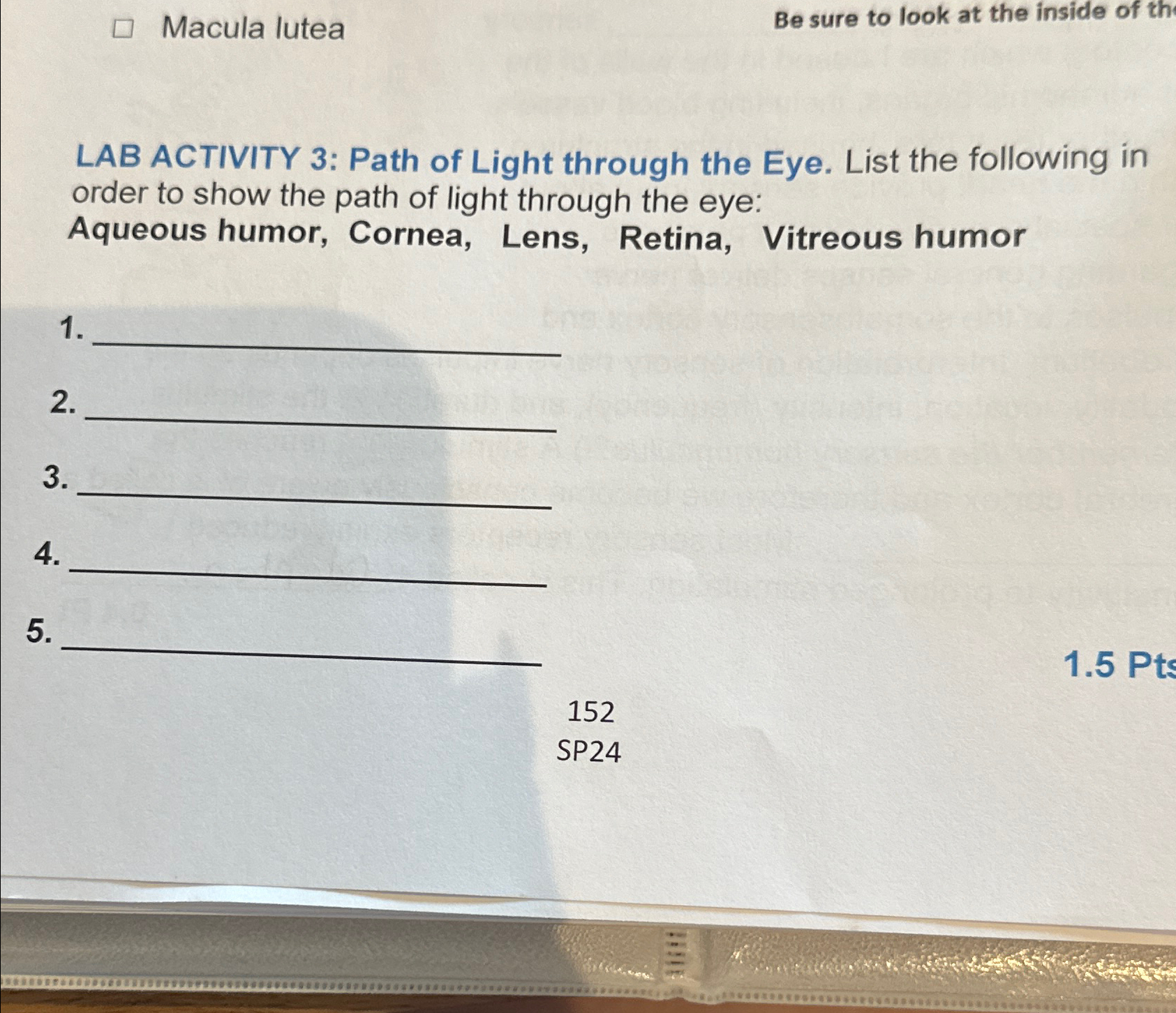 Solved Macula luteaBe sure to look at the inside of thLAB | Chegg.com