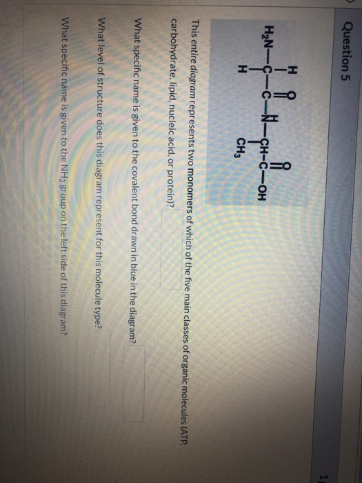 Solved Question 5 1 H H2N-C -с-он CH3 This entire diagram | Chegg.com