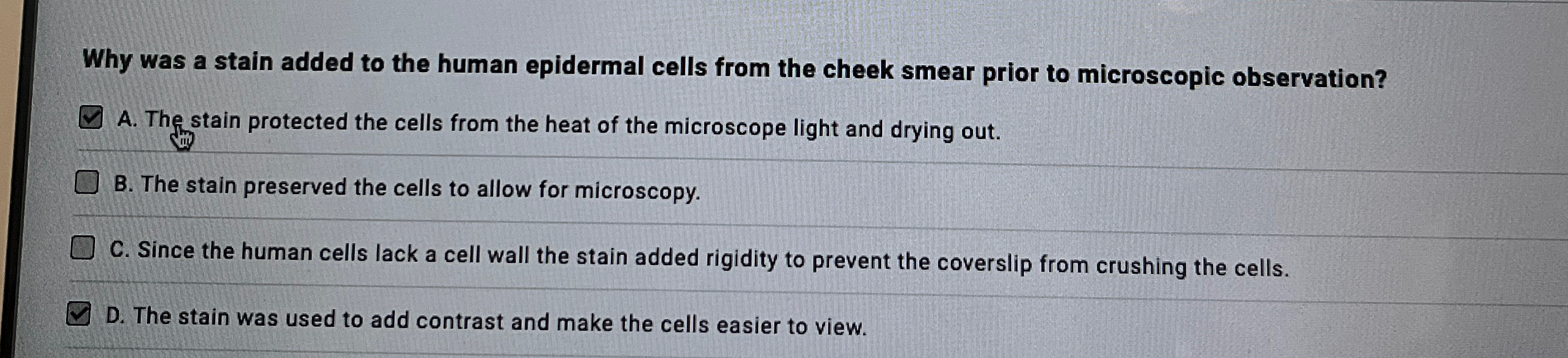 Solved Why was a stain added to the human epidermal cells | Chegg.com