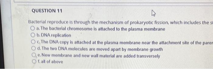 Solved The most common types of cell-to-cell Junctions in | Chegg.com