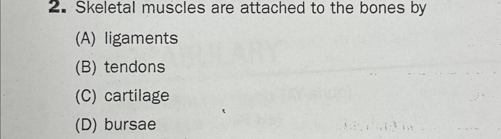 Solved Skeletal muscles are attached to the bones by(A) | Chegg.com
