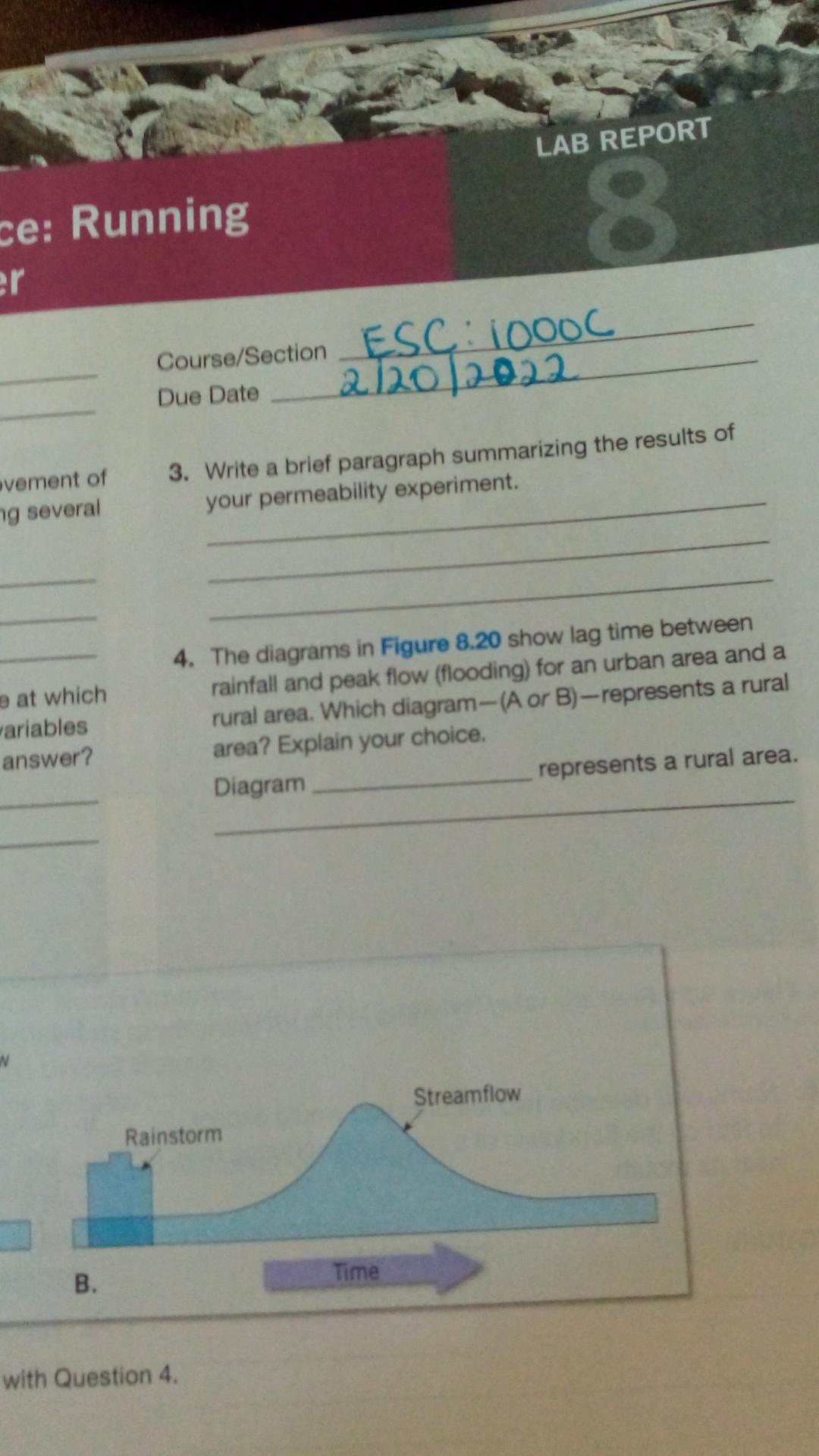 Solved write a brief paragraph summarizing the results of a | Chegg.com
