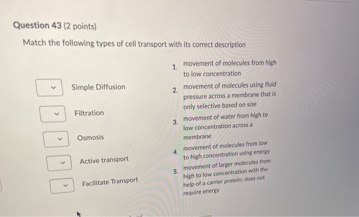 Solved Question 43 (2 points) Match the following types of | Chegg.com