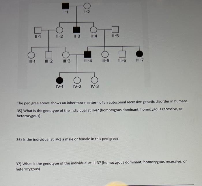 Solved The pedigree above shows an inheritance pattern of an | Chegg.com