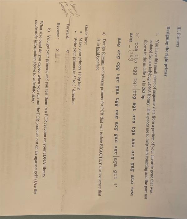 Solved Designing the right primer 1. You have this small | Chegg.com