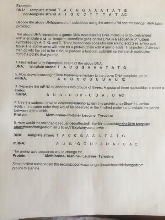 Solved Flowchart for Dichotomous key Assignment Gram | Chegg.com