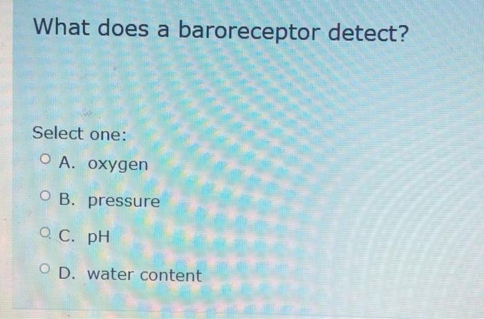 Solved What does a baroreceptor detect? Select one: O A. | Chegg.com