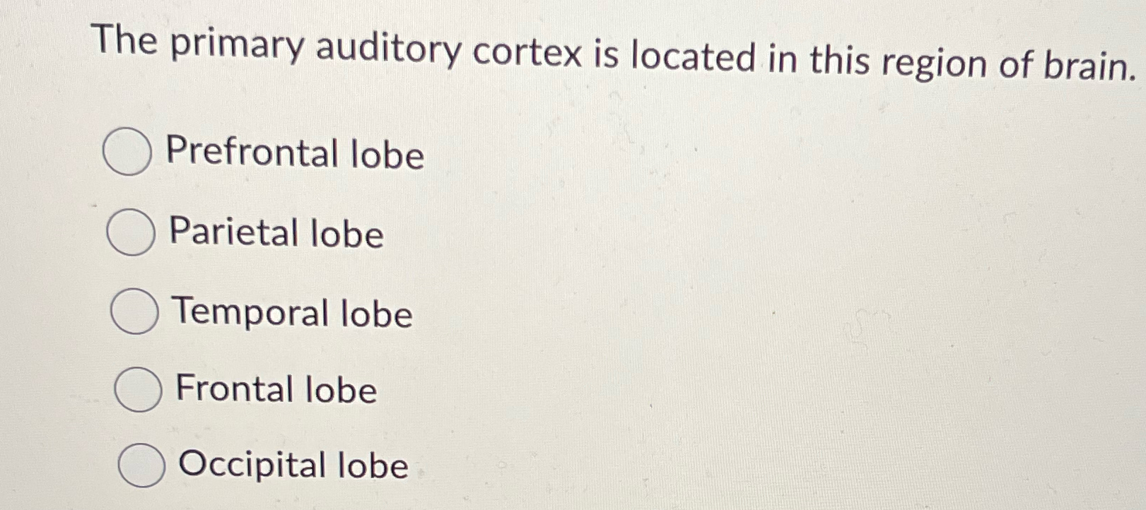 Solved The primary auditory cortex is located in this region | Chegg.com
