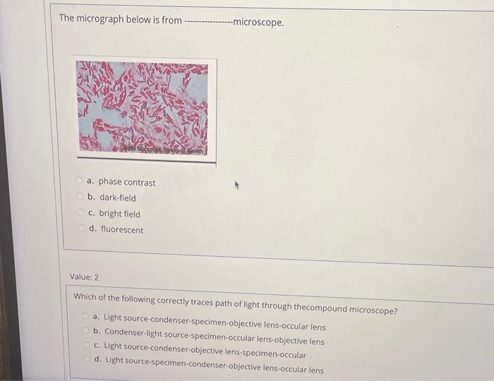 Solved The micrograph below is from microscope. a. phase | Chegg.com