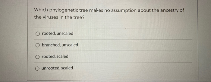 Solved Which phylogenetic tree makes no assumption about the | Chegg.com