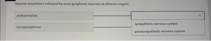 Solved Neurotransmitters and the receptors they bind | Chegg.com