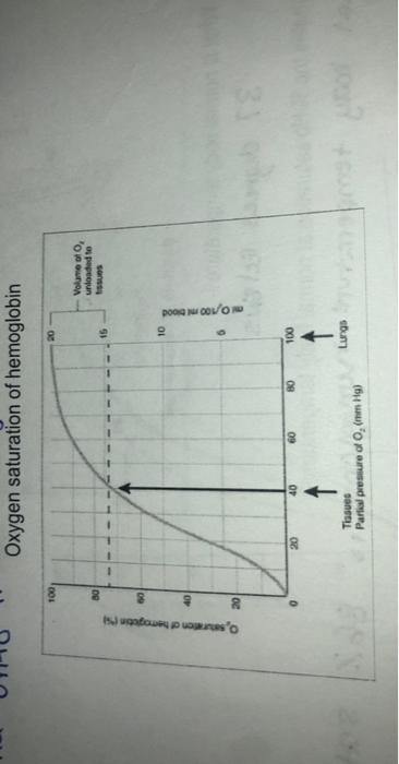 5. In questions 3 and 4 , there was a decrease in pO2 | Chegg.com
