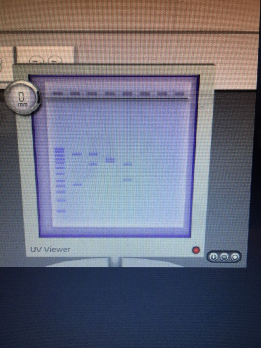 Solved samarind In the table below, record the distances | Chegg.com