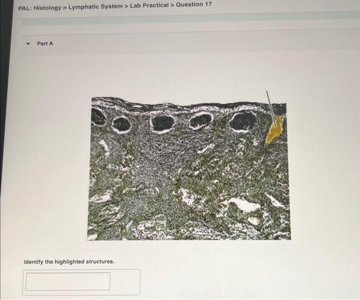 Solved Identify the highlighted structures. | Chegg.com
