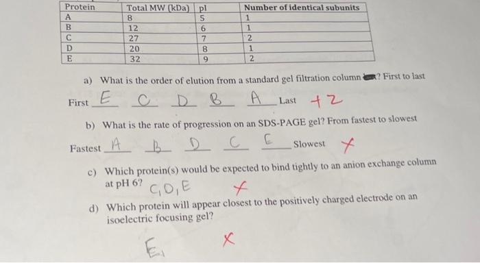Solved a) What is the order of elution from a standard gel | Chegg.com