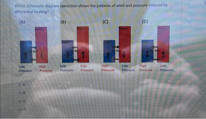 Solved Which Schematic diagram correction shows the patterns | Chegg.com