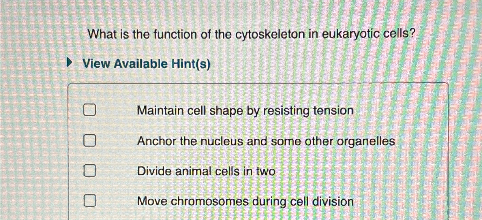 Solved What is the function of the cytoskeleton in | Chegg.com