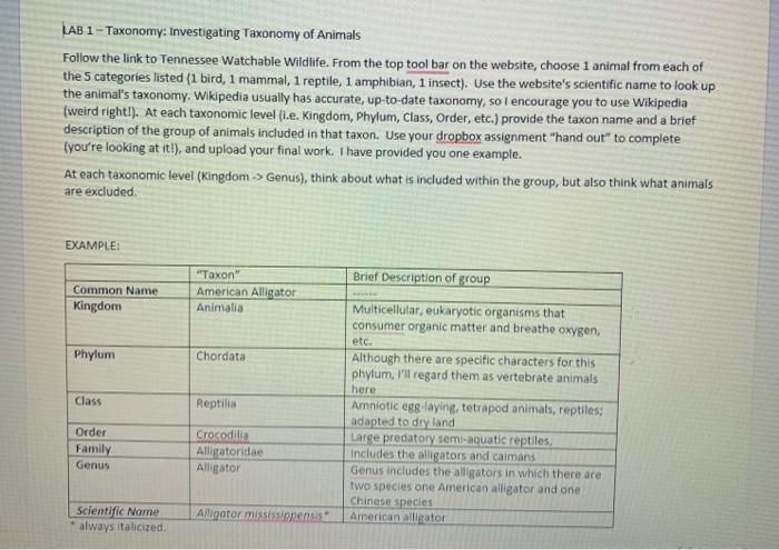 Solved LAB 1 - Taxonomy: Investigating Taxonomy of Animals | Chegg.com
