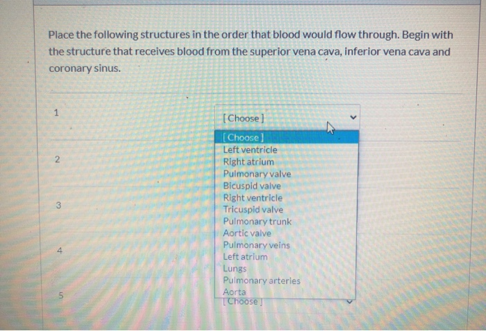 Solved Place the following structures in the order that | Chegg.com