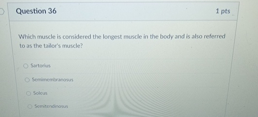 Solved Question 361ptsWhich muscle is considered the longest | Chegg.com