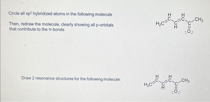 Solved Circle all sp2 hybridized atoms in the following | Chegg.com