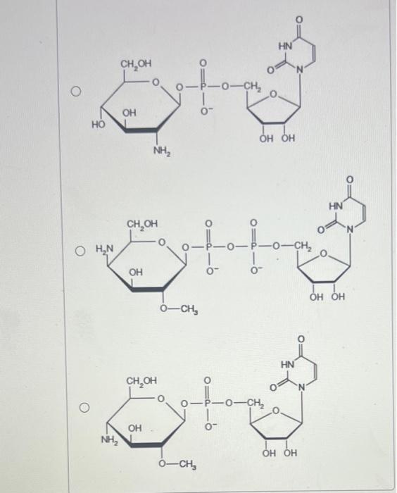 Solved Choose the structure of UDP-galactosamine. | Chegg.com
