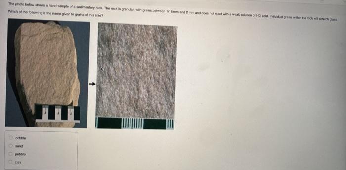 Solved The photo below shows a hand sample of a sedimentary | Chegg.com
