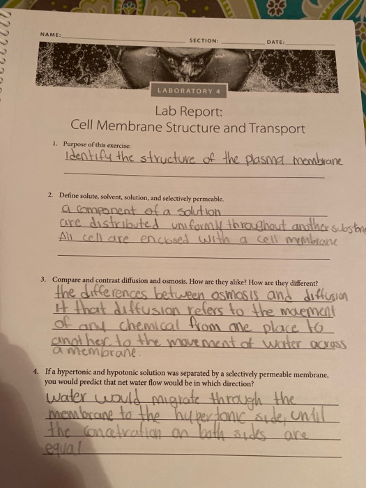 Solved SECTION: 27272720 LABORATORY 4 Lab Report: Cell | Chegg.com