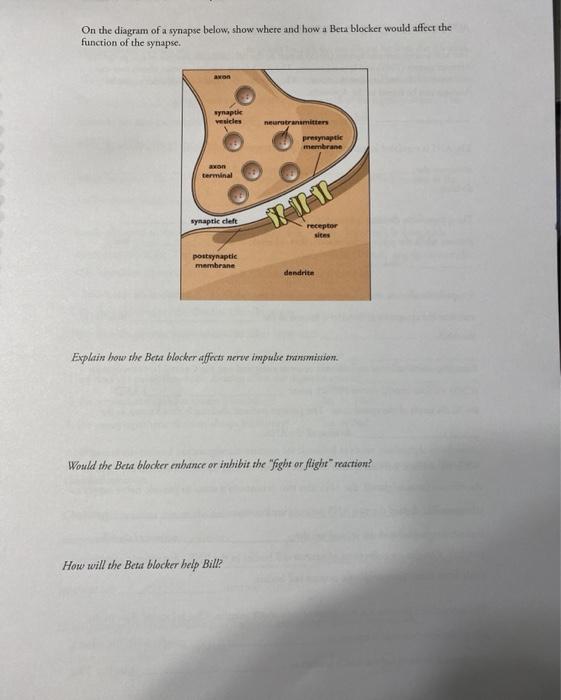 Solved On the diagram of a synapse below, show where and how | Chegg.com