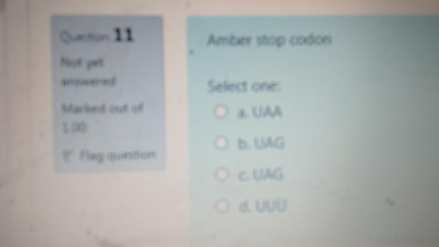 Solved Amber stop codon Select one a UA BUAG O CUAG UUU | Chegg.com
