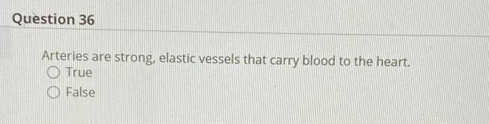 Solved Question 36 Arteries are strong, elastic vessels that | Chegg.com