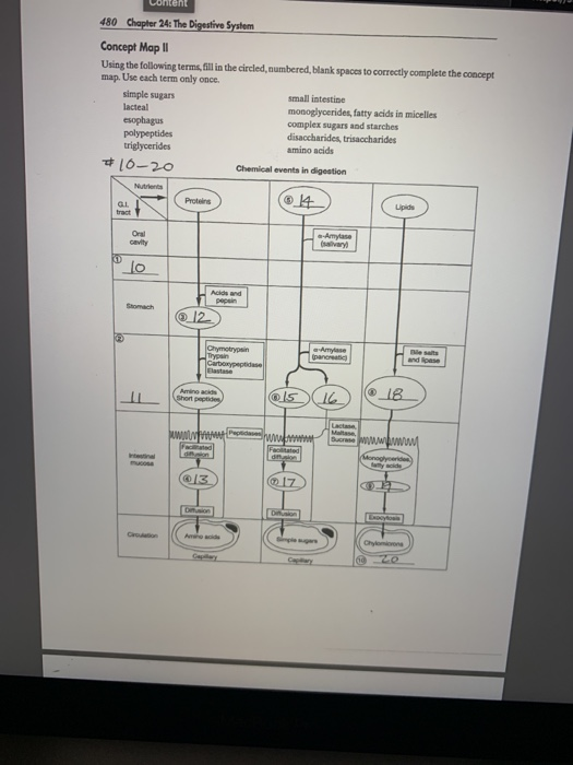 Solved Content https://s3.us-east-1.amazonaws.com/... http | Chegg.com