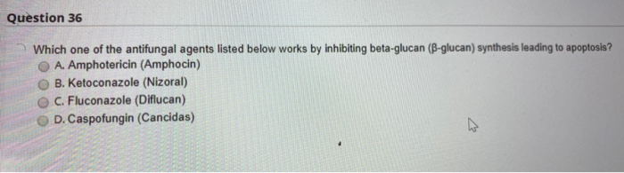 Solved Question 36 Which one of the antifungal agents listed | Chegg.com